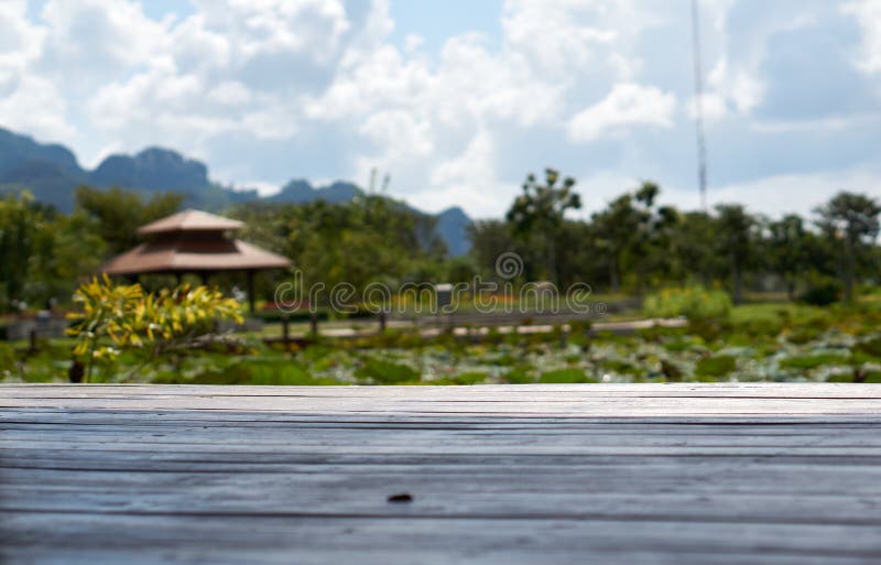 1,168 Pond Floor Texture Stock Photos - Free & Royalty-Free Stock ...