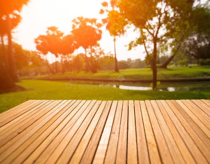 Wood Flooring with a Tree Backdrop and a Delightful Natural Land Stock ...