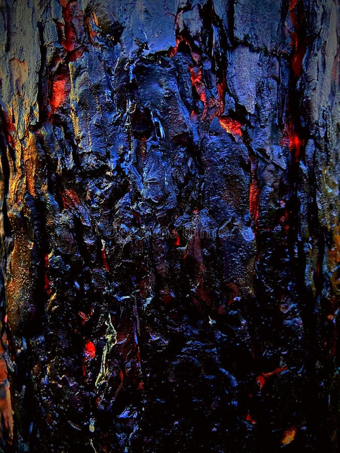 Wood stock image. Image of resin, bark, lumen, wood - 230753551