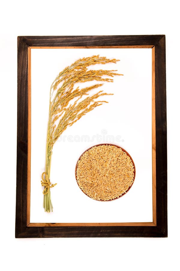 Wood frame stock image. Image of plate, solated, framework - 62805111