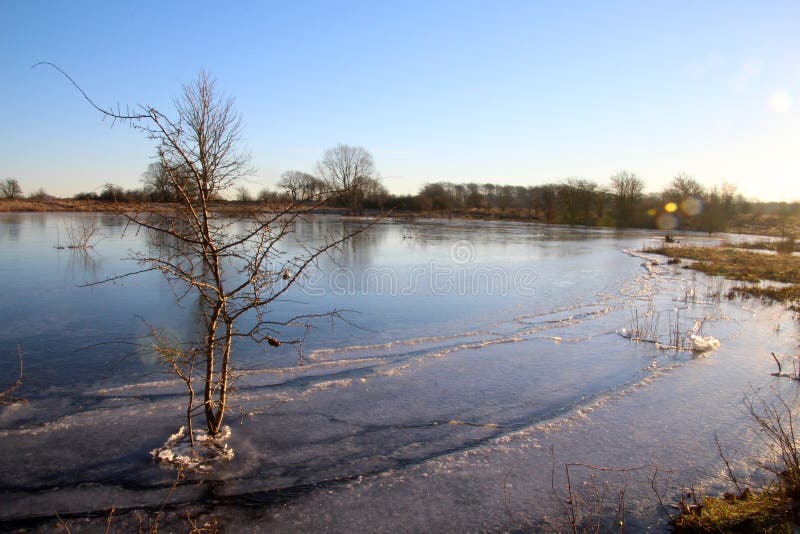 Wood in frozen ice stock image. Image of white, january - 84579457