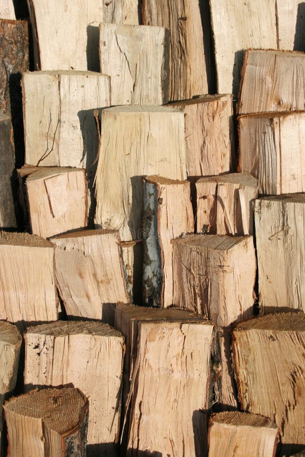 Wood fuel stock image. Image of tree, forest, wood, fuel - 15663611