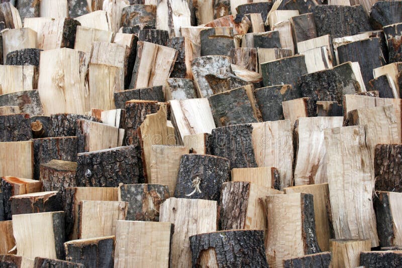 Wood fuel stock photo. Image of plant, environment, wood - 20682906