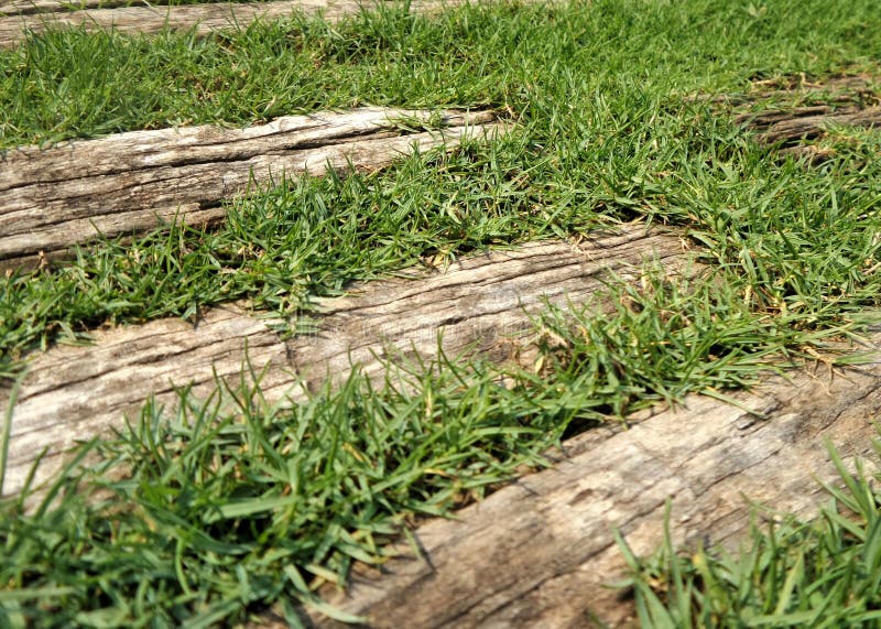 Wood Garden Path on Grass Lawn Stock Image - Image of grass, garden ...