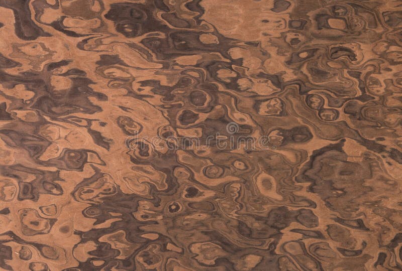 Wood Grain Background. Decorative Veneer. Walnut Root. Light Shade ...