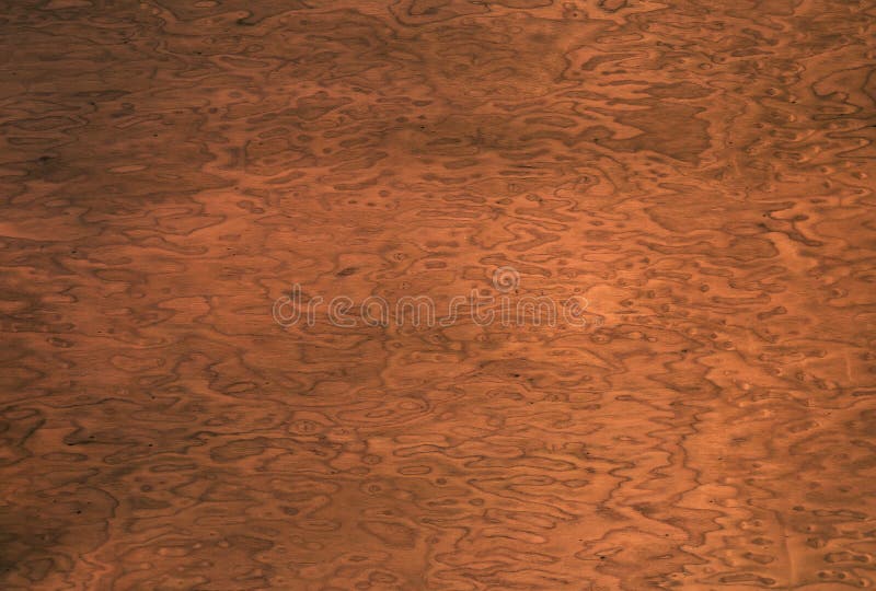 Wood Grain Background. Decorative Veneer. Walnut Root. Stock ...