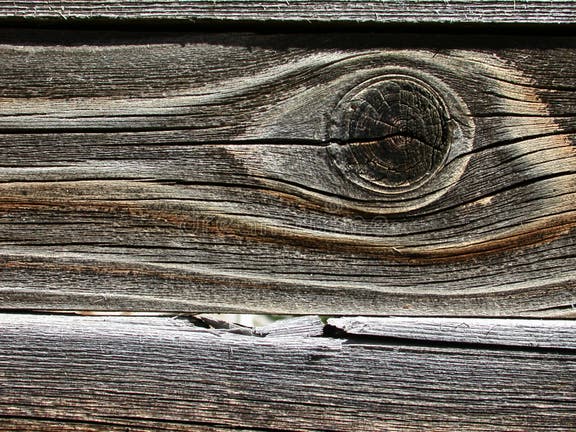 753 Would Eye Stock Photos - Free & Royalty-Free Stock Photos from ...