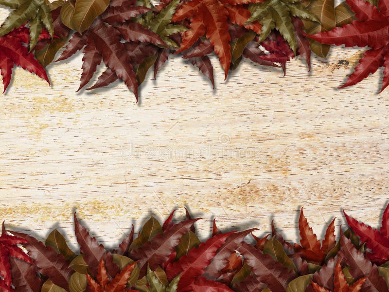 Wood Grain Background Image Surrounded Dry Leaves Stock Photo - Image ...