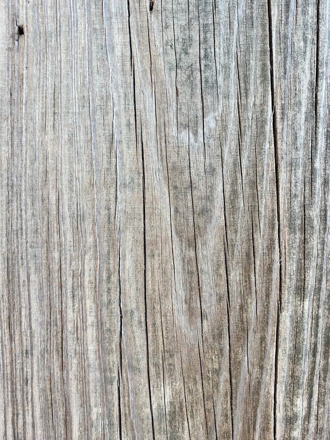 Wood Grain stock image. Image of timber, wood, pattern - 253670151
