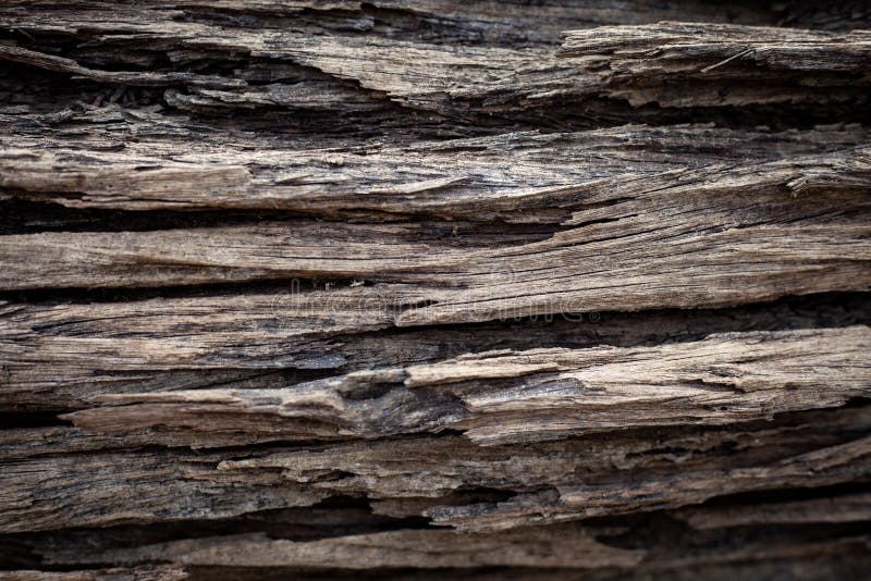 Wood Grain Background Scene Illustration Stock Image - Image of leaf ...