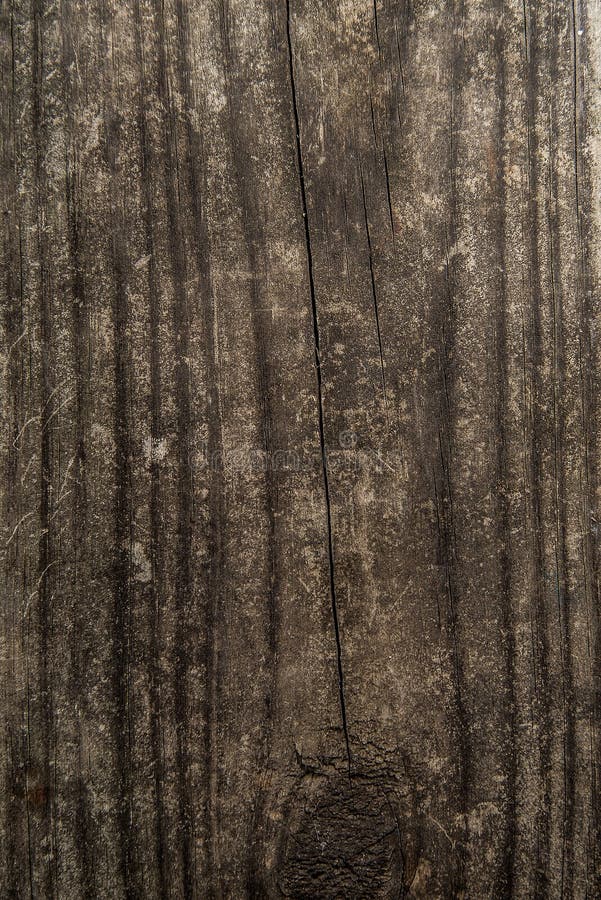 Wood Grain Background Texture Stock Photo - Image of plank, grain: 88436254