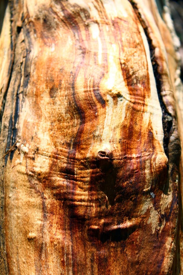 Exposed Gaining Stock Photos - Free & Royalty-Free Stock Photos from ...