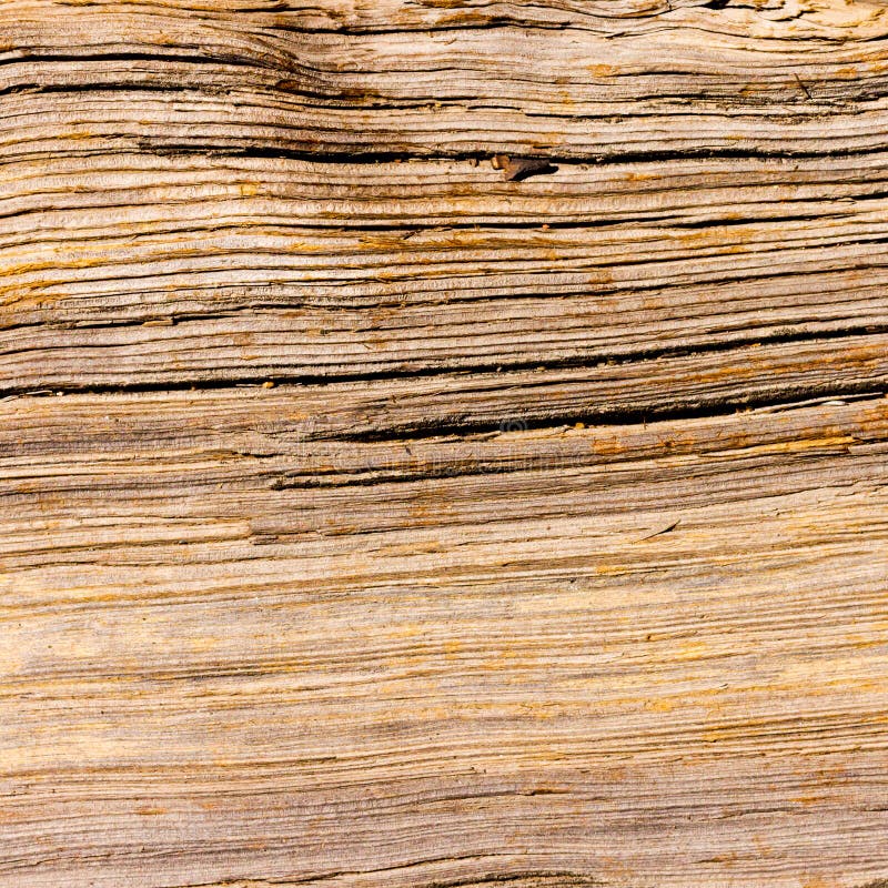 Wood Grain Organic Background Texture Stock Image - Image of square ...