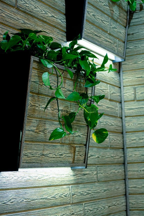 Wood Grain Panels for Interior Decoration Stock Image - Image of lumber ...