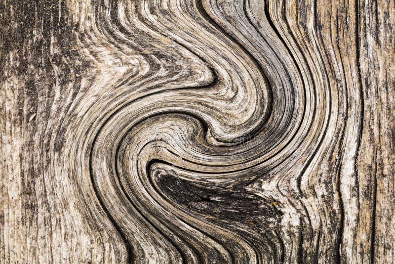 Wood Grain Spiral Swirl Wooden Pattern Vector Stock Photo - Image of ...