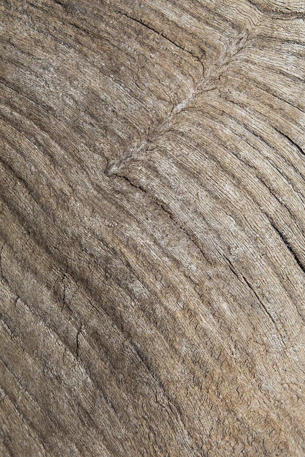 2,021 Diagonal Wood Grain Stock Photos - Free & Royalty-Free Stock ...