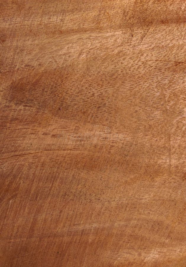 Wood grain texture stock image. Image of grain, natural - 45236225
