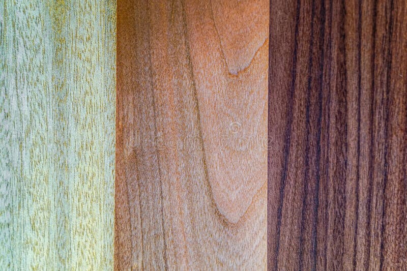 Skilled Craftsmanship Prominent Stock Photos - Free & Royalty-Free ...