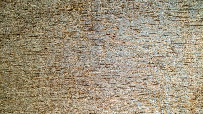 Wood Grain Texture, Background Surface with Old Natural Pattern Stock ...