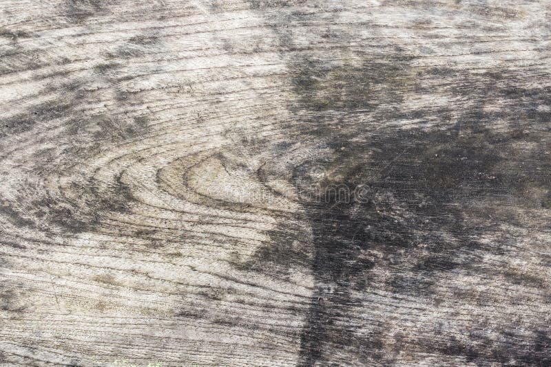 Wood Grain Texture Background. Stock Photo - Image of material, heavy ...
