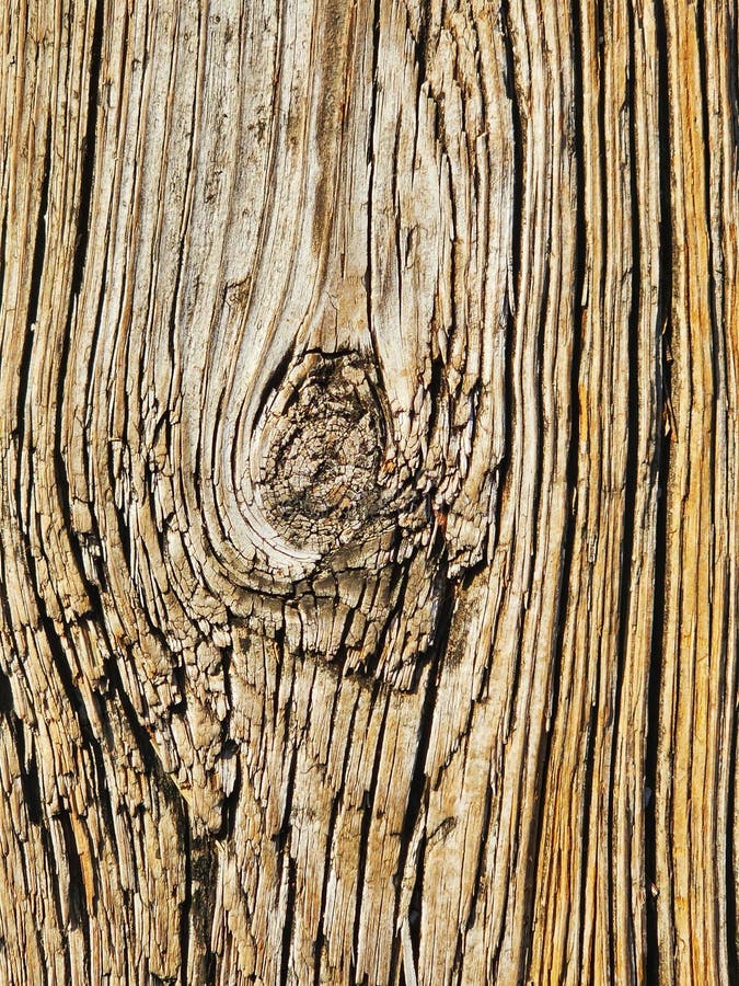 Wood Grain Texture with Knot Hole Stock Photo - Image of texture, grain ...