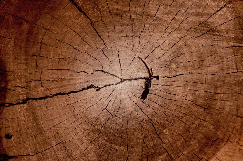 Wood Grain Texture of Old Tree Stump with Cracks in Brown Tone F Stock ...
