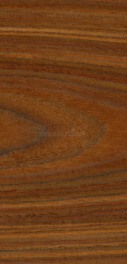 Walnut Wood Texture, Natural Wood Textures, High Resolution Texture ...