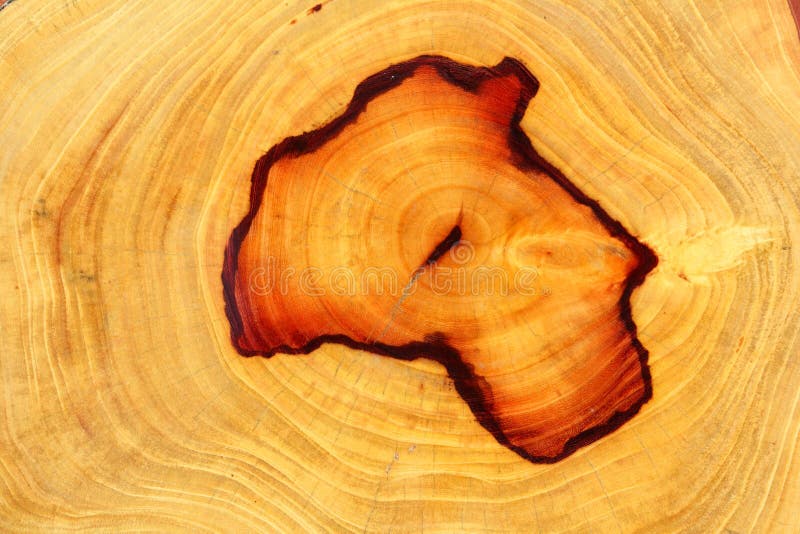 Wood grain stock image. Image of naturalpattern, textured - 69723161