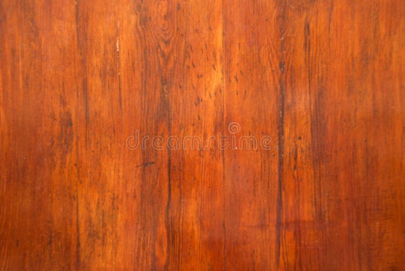 Briar Wood Texture. Lights and Shadows Very Flat. Stock Photo - Image ...