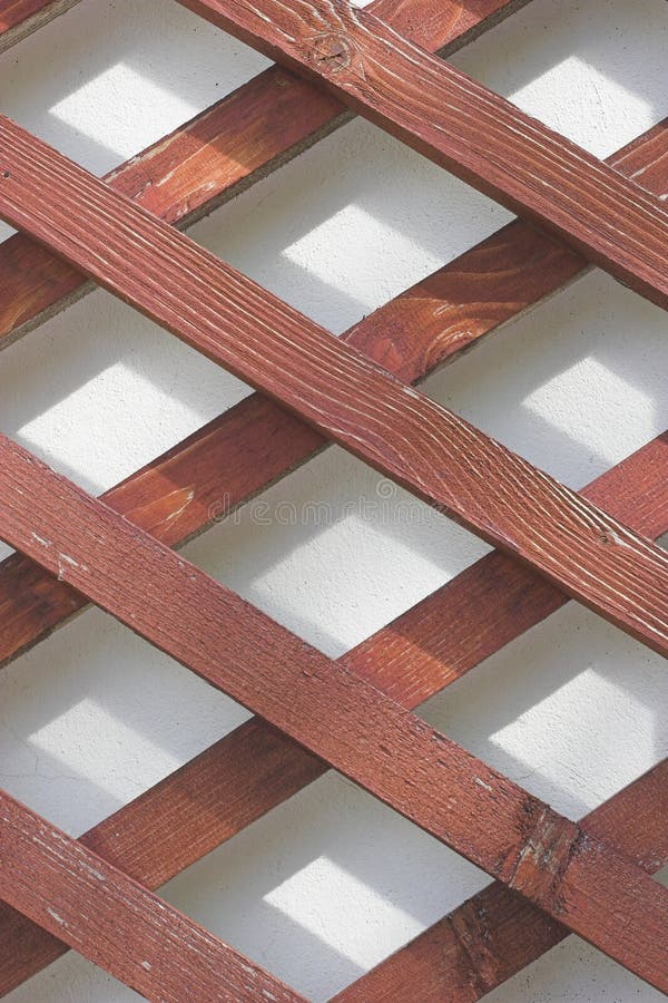 Wood grid stock image. Image of blooming, growth, light - 817141