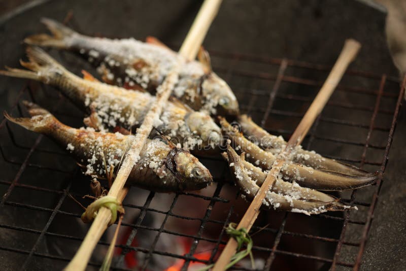 Wood Grilled Fish with Fork Stock Image - Image of grilling, brown ...
