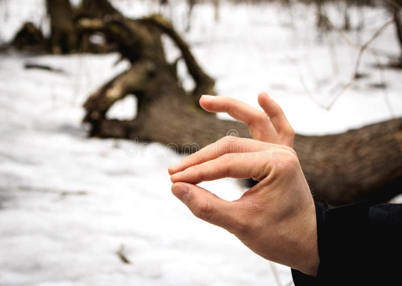 Wood and hand stock photo. Image of brush, wood, nbranch - 70882814