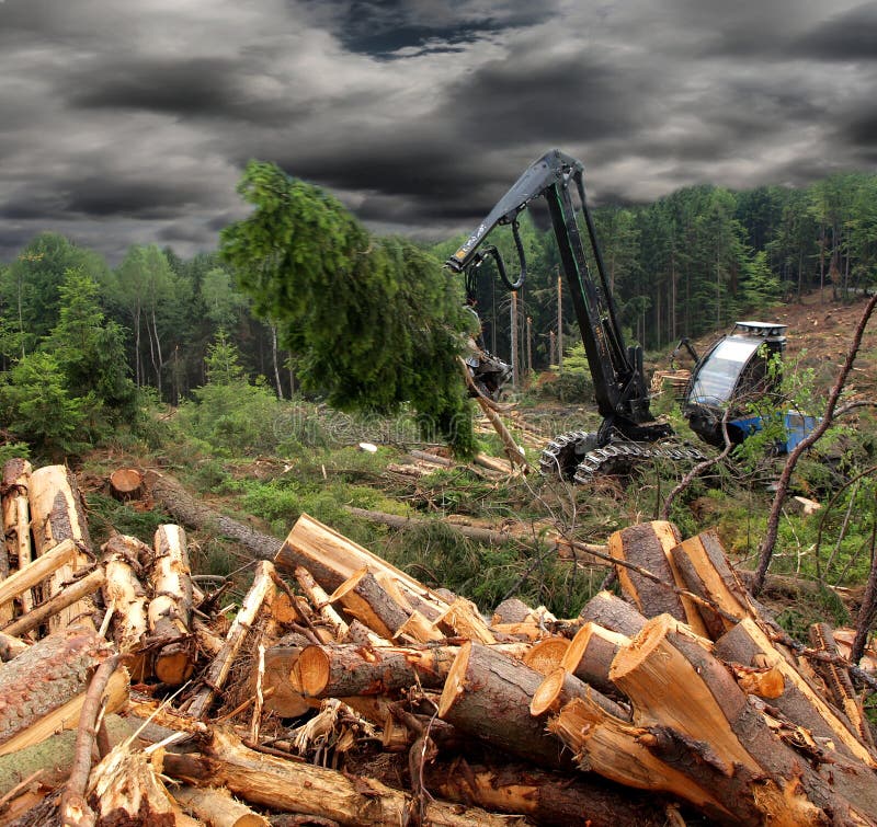 1,283 Equipment Harvesting Trees Stock Photos - Free & Royalty-Free ...