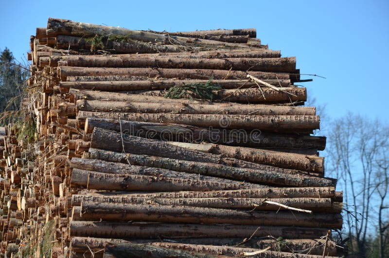 Wood Harvesting, Round Timber Stock Image - Image of yellow, holz ...