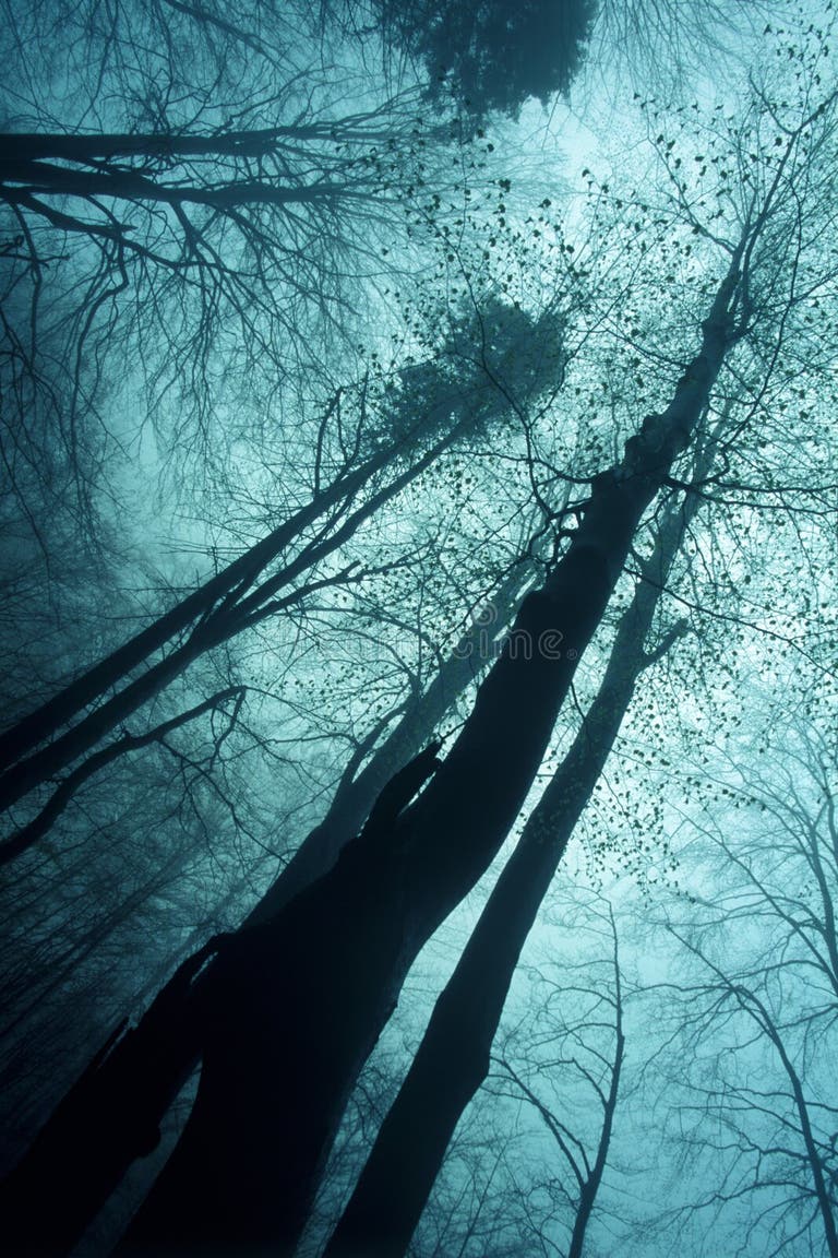 38,001 Haze Fall Stock Photos - Free & Royalty-Free Stock Photos from ...