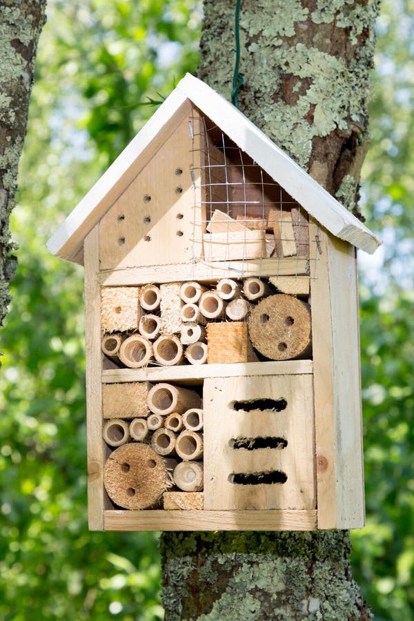 Wood Insect House Bug Wooden Hotel Ladybird Bee Home To Butterfly ...