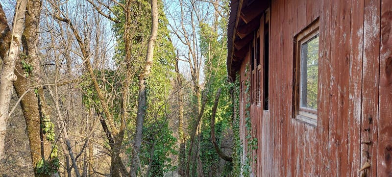 Wood house nature window stock image. Image of wood - 244635227