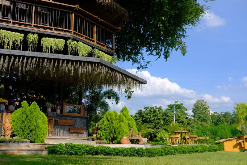 Wood Hut Home House on Tree Stock Photo - Image of tropical, summer ...