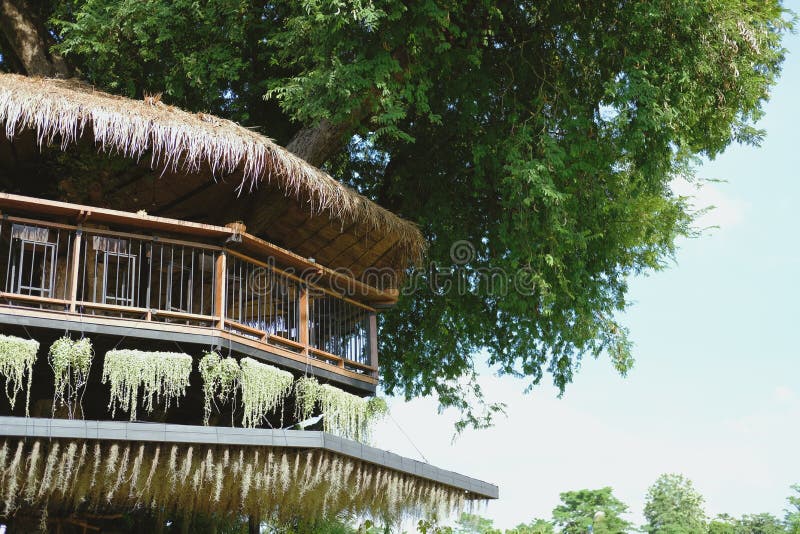 Wood Hut Home House on Tree Stock Photo - Image of structure, tree ...