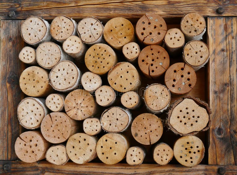 Wood for insects stock image. Image of animal, hotel - 103199461