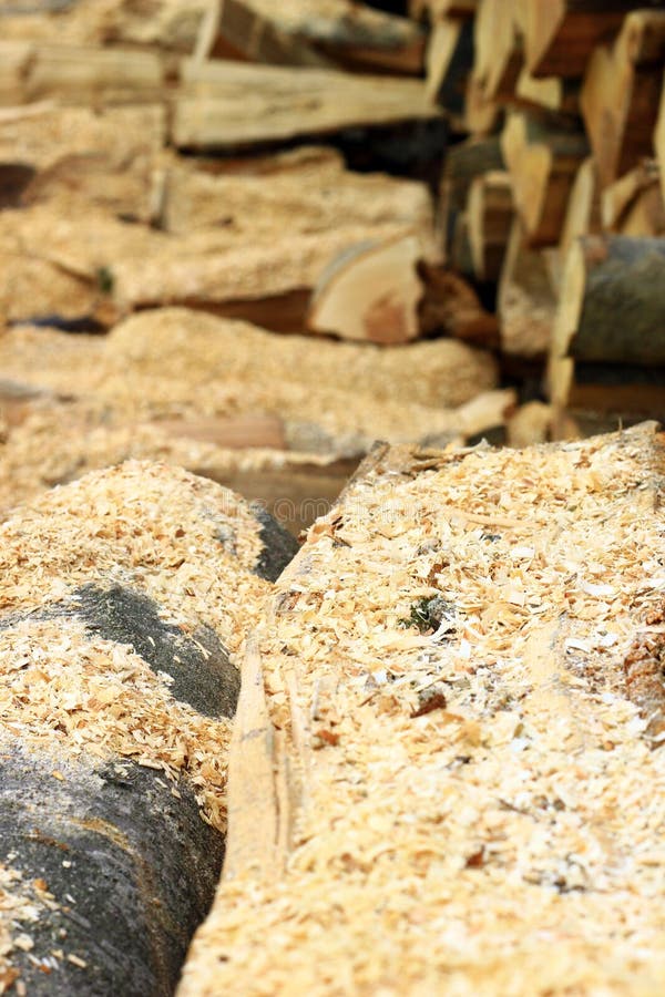 Inside a sawmill stock image. Image of industry, factory - 41386459