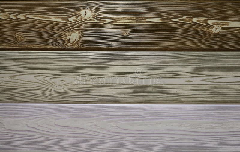 Wood - the Inside of the Tree Stock Image - Image of root, store: 111699567