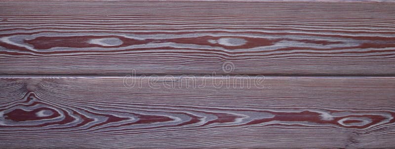Wood - the Inside of the Tree Stock Photo - Image of plants, blue ...