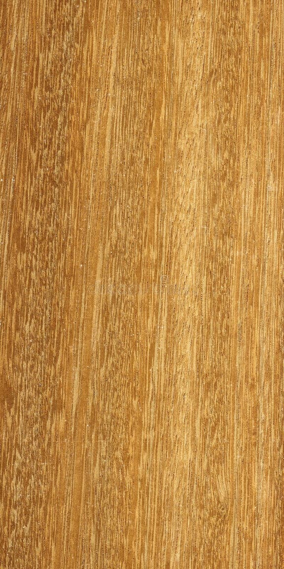 Wood iroko stock image. Image of tree, construction, texture - 3409287