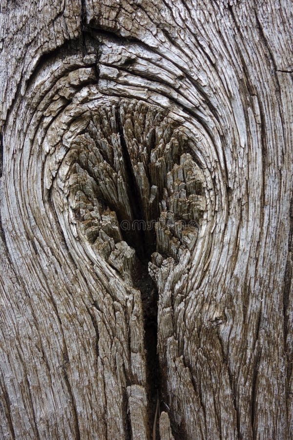 Wood stock image. Image of road, furniture, building - 76858071