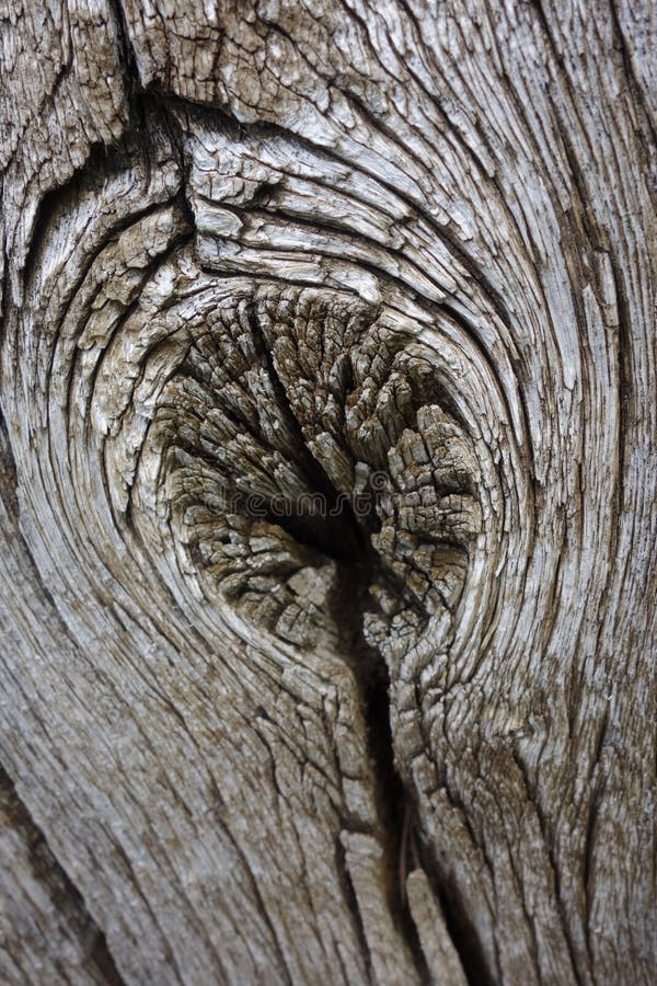 Knothole stock image. Image of board, trunk, stem, building - 73822993