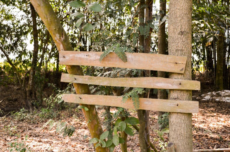 Wood label on bark tree stock image. Image of space - 107266895