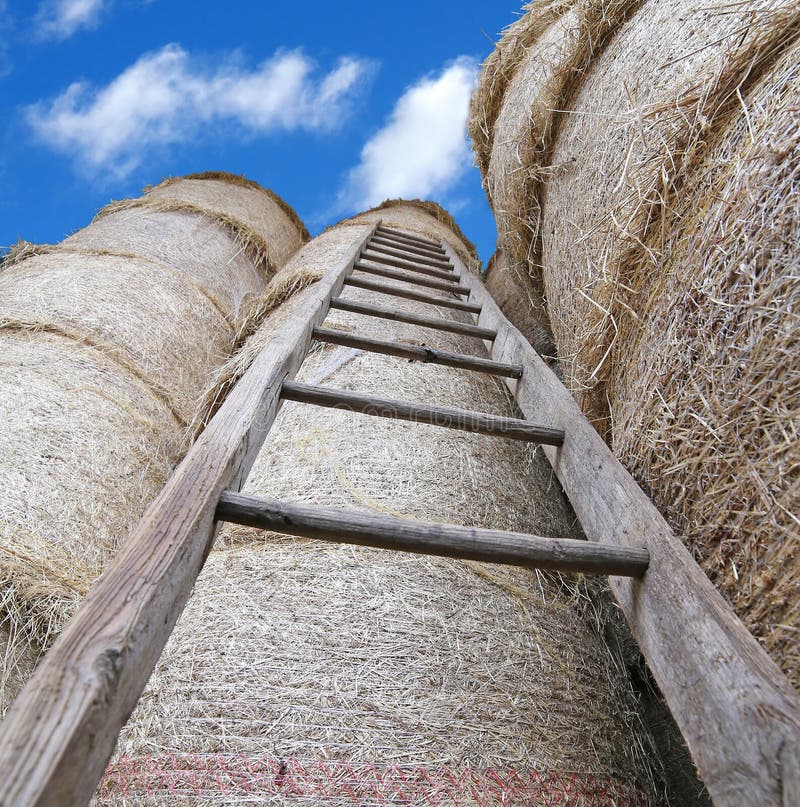 Wood Ladder in the Barn with Bales of Hay Stock Image - Image of huge ...