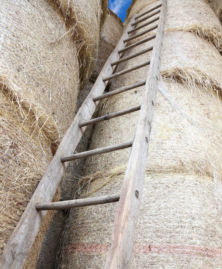 Wood Ladder in the Barn of the Farm Stock Image - Image of bales, huge ...