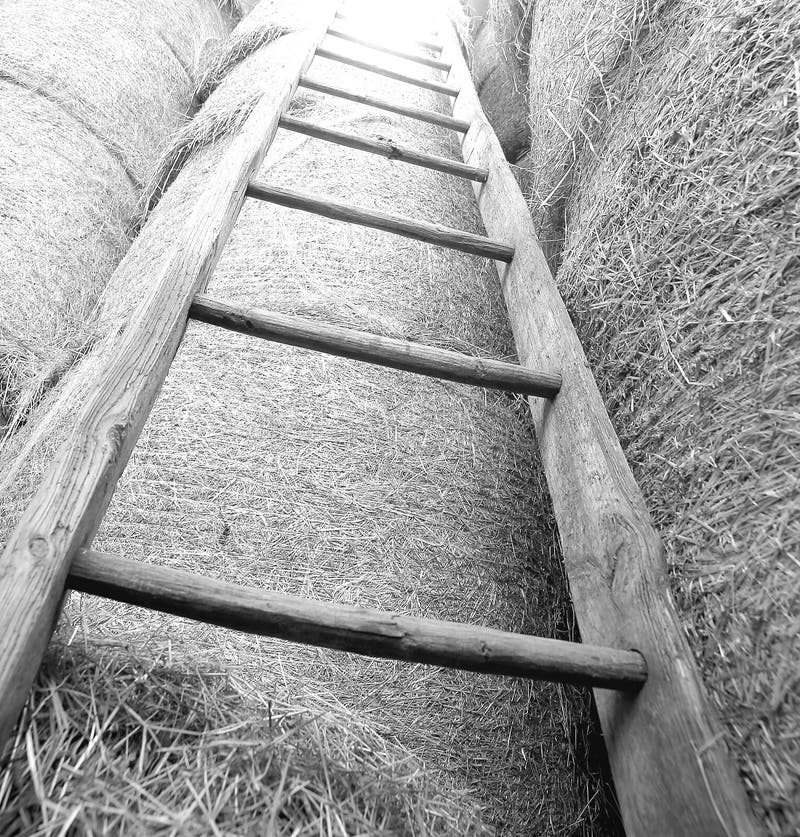 Wood Ladder in the Barn of the Farm Stock Image - Image of angle, line ...